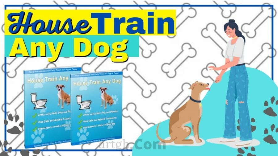 House Train Any Dog Review: How Effective Is This System? - Artgh.com